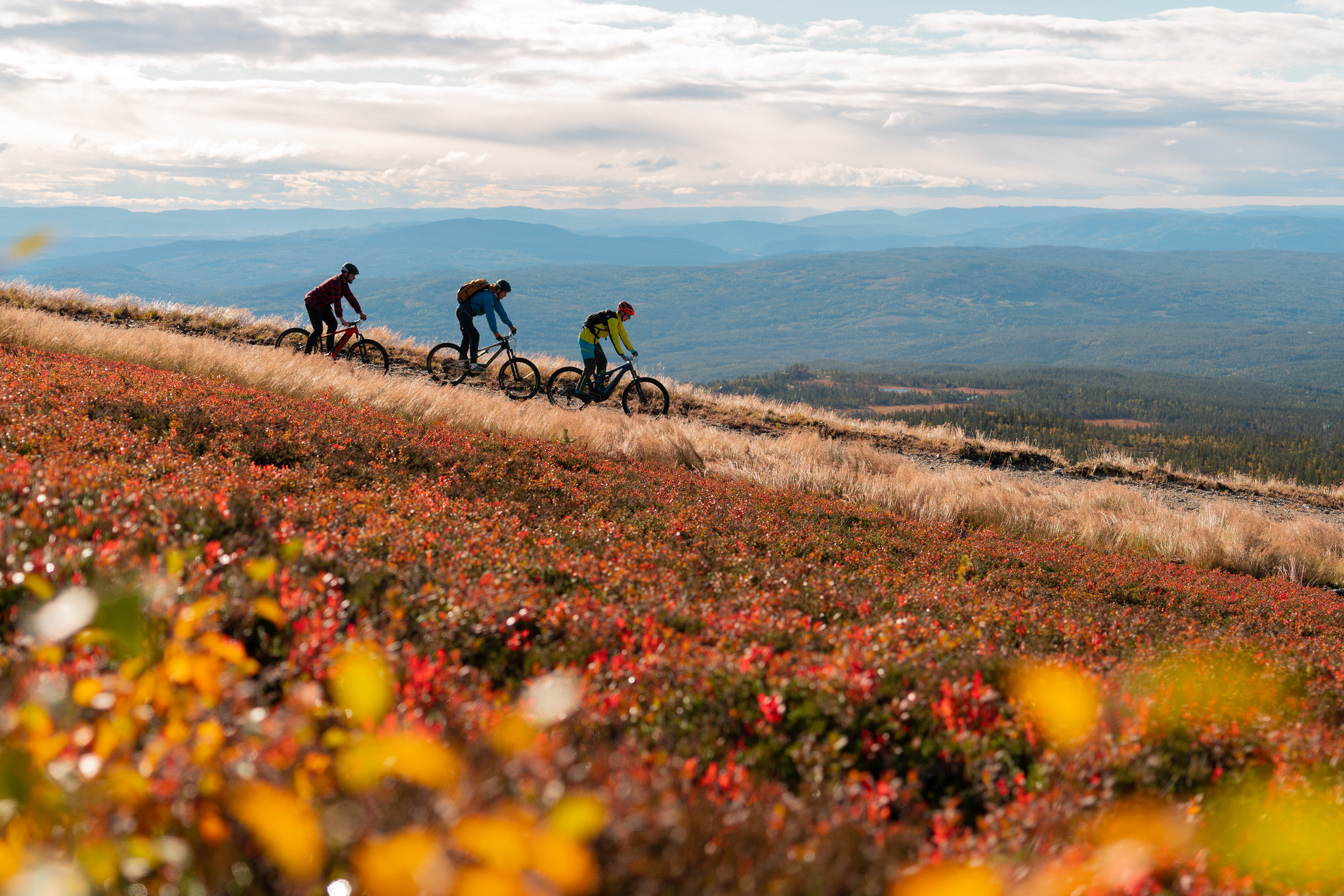 Utleie av el-sykkel - Norefjell Ski & Spa